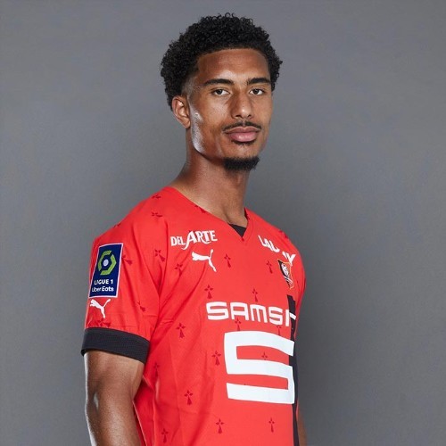 Loïc Badé - Centro﻿ de solicitud﻿﻿ Suite Gráficos﻿﻿ FMSite﻿ 2.0﻿